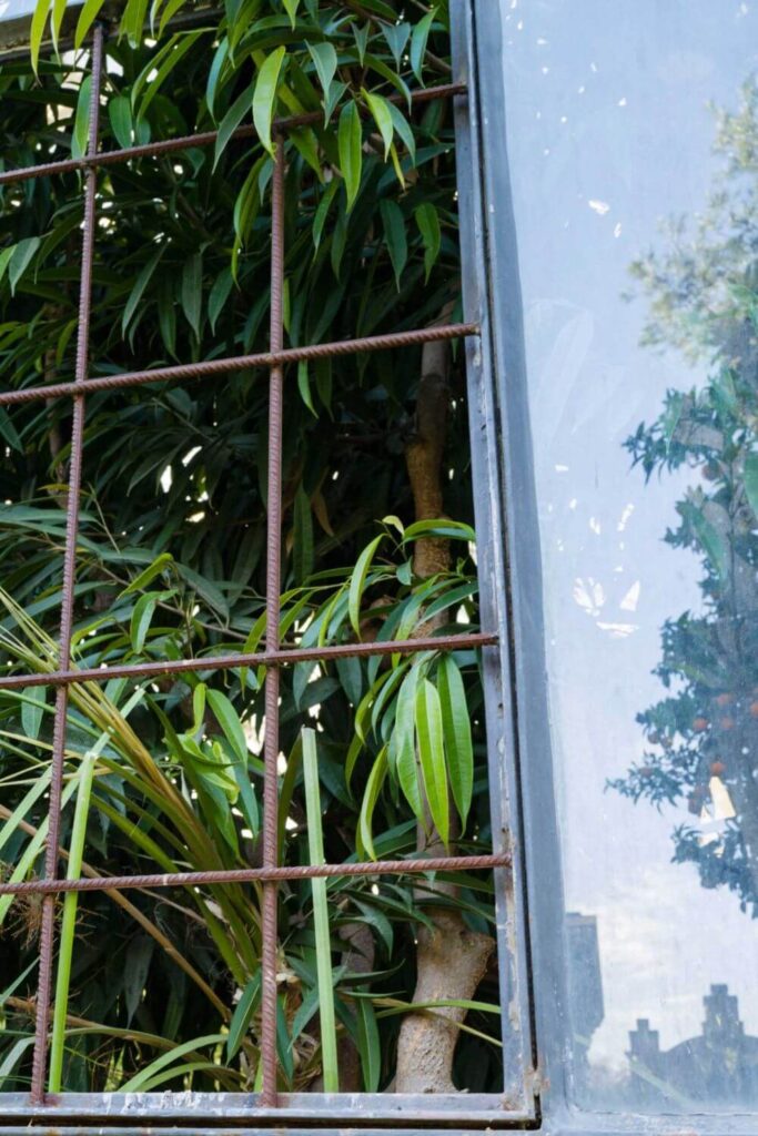 Tropical Home Design: How to Create Your Perfect Paradise